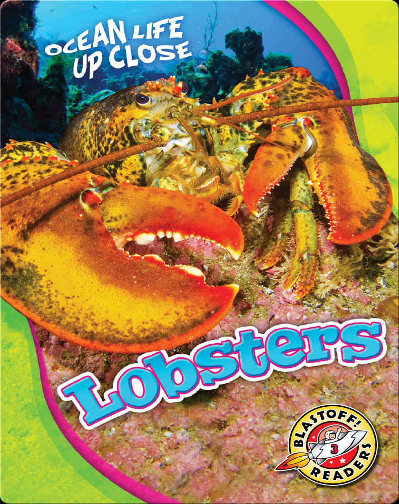 Lobsters Book by Heather Adamson | Epic