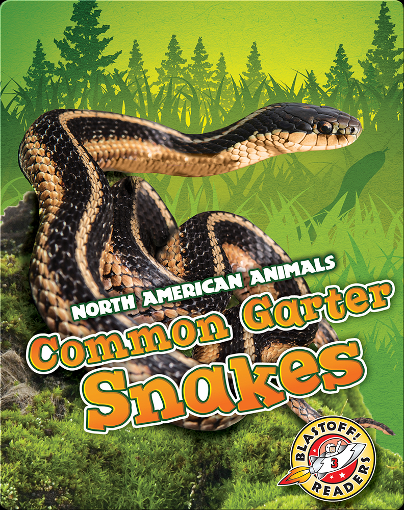 Common Garter Snakes Book by Rebecca Sabelko | Epic