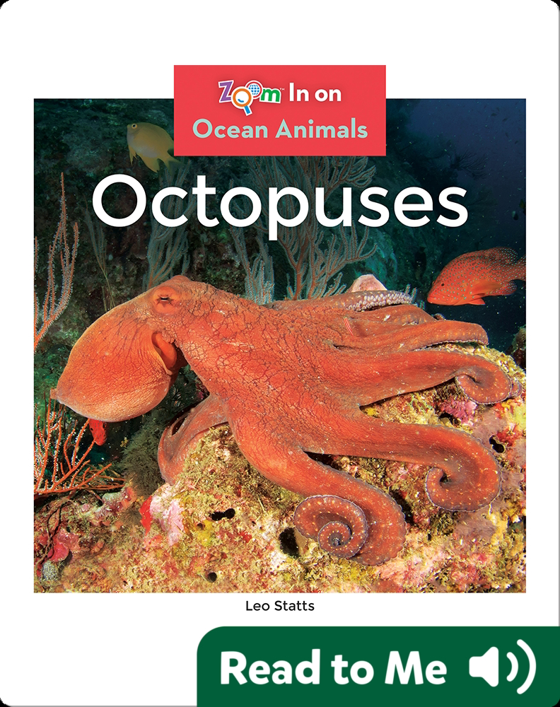 Octopuses Book by Leo Statts | Epic