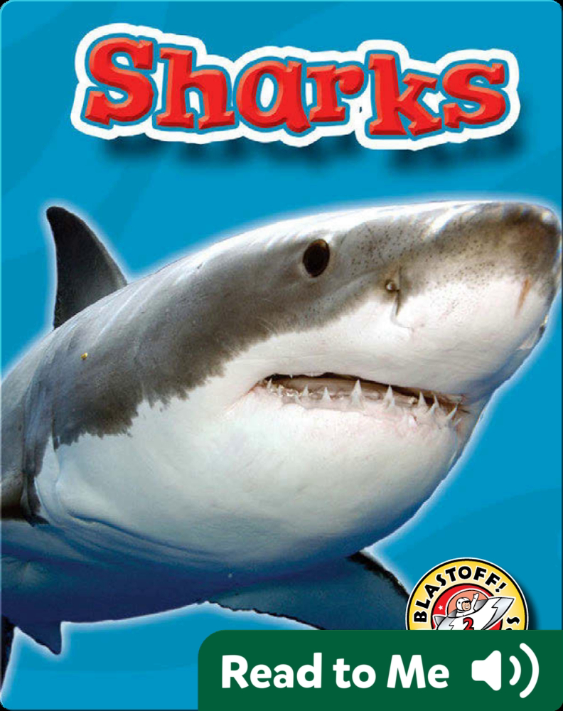 Sharks: Oceans Alive Book by Colleen Sexton | Epic