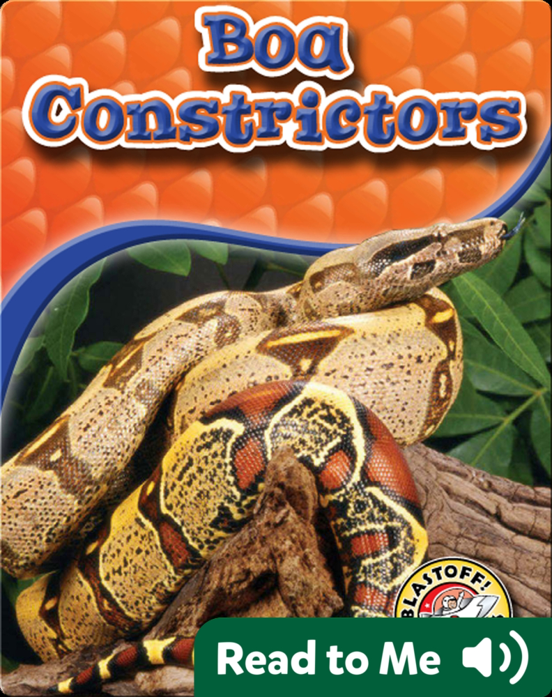 Boa Constrictors: Snakes Alive Book by Colleen Sexton | Epic