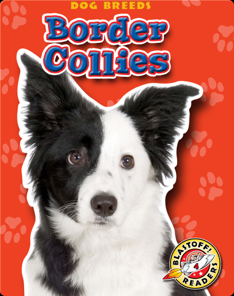 Border Collies: Dog Breeds Book by Sara Green | Epic