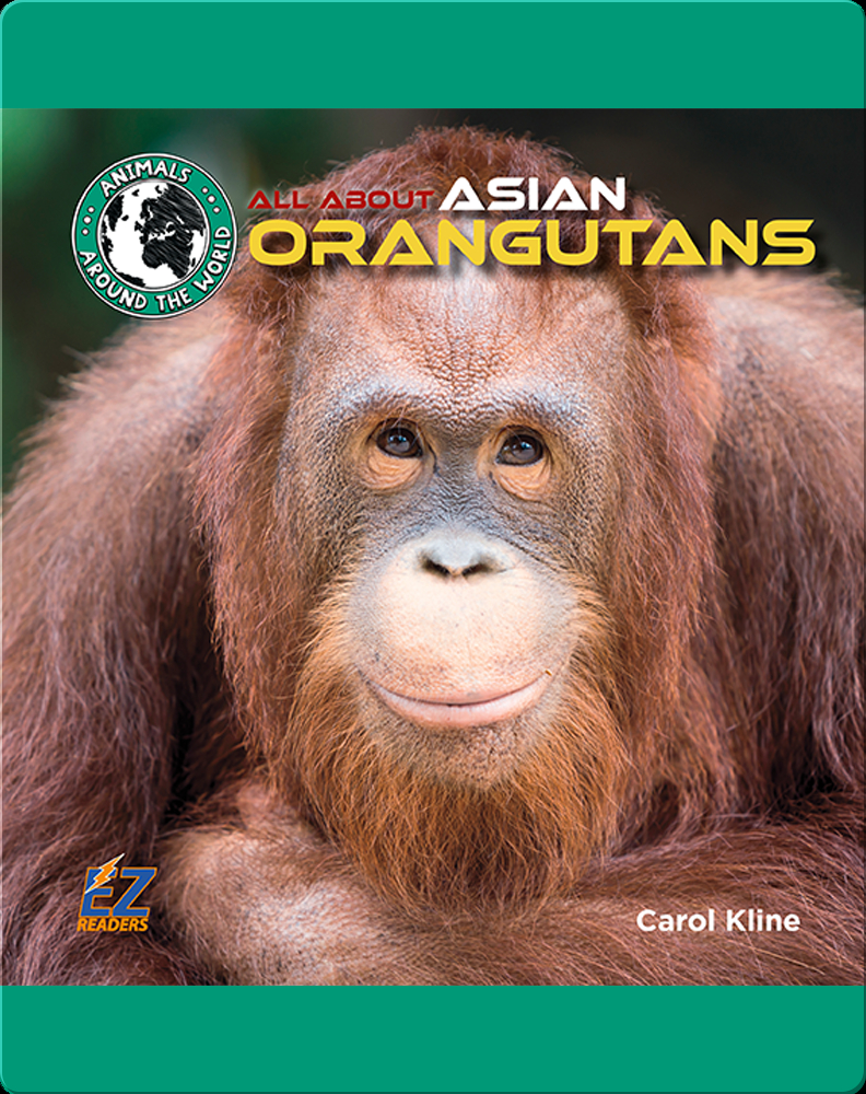 All About Asian Orangutans Book by Carol Kline | Epic