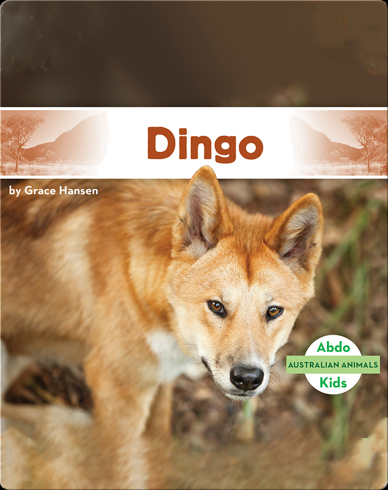 Australian Animals: Dingo Book by Grace Hansen | Epic