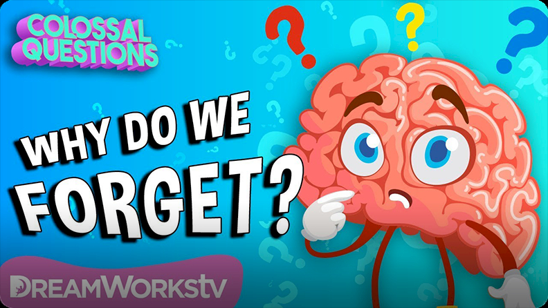 Colossal Questions: Why Do We Forget Things? Video | Discover Fun and ...