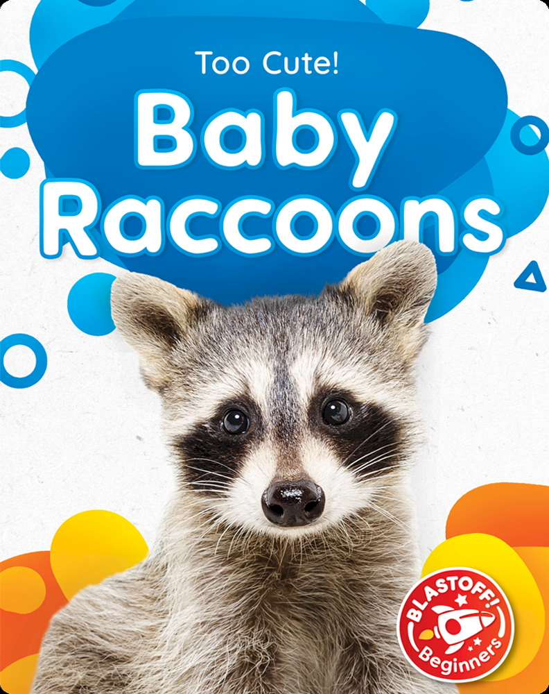 Too Cute!: Baby Raccoons Book by Elizabeth Neuenfeldt | Epic