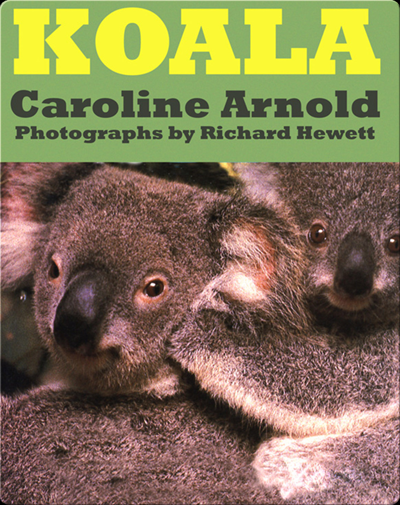 Koala Book by Caroline Arnold | Epic