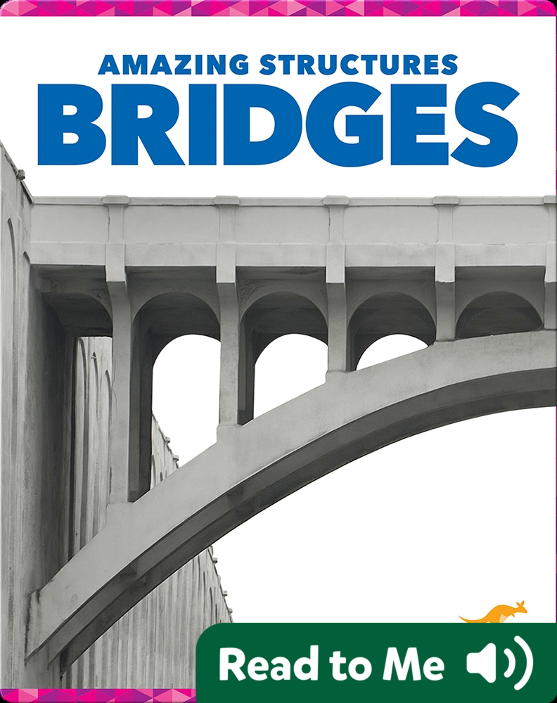 Amazing Structures: Bridges Children's Book by Rebecca Pettiford ...