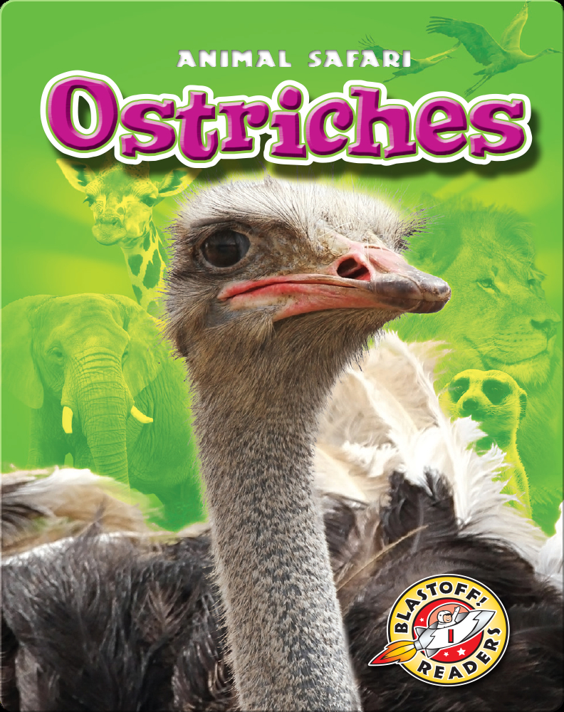 Ostriches Book by Kari Schuetz | Epic