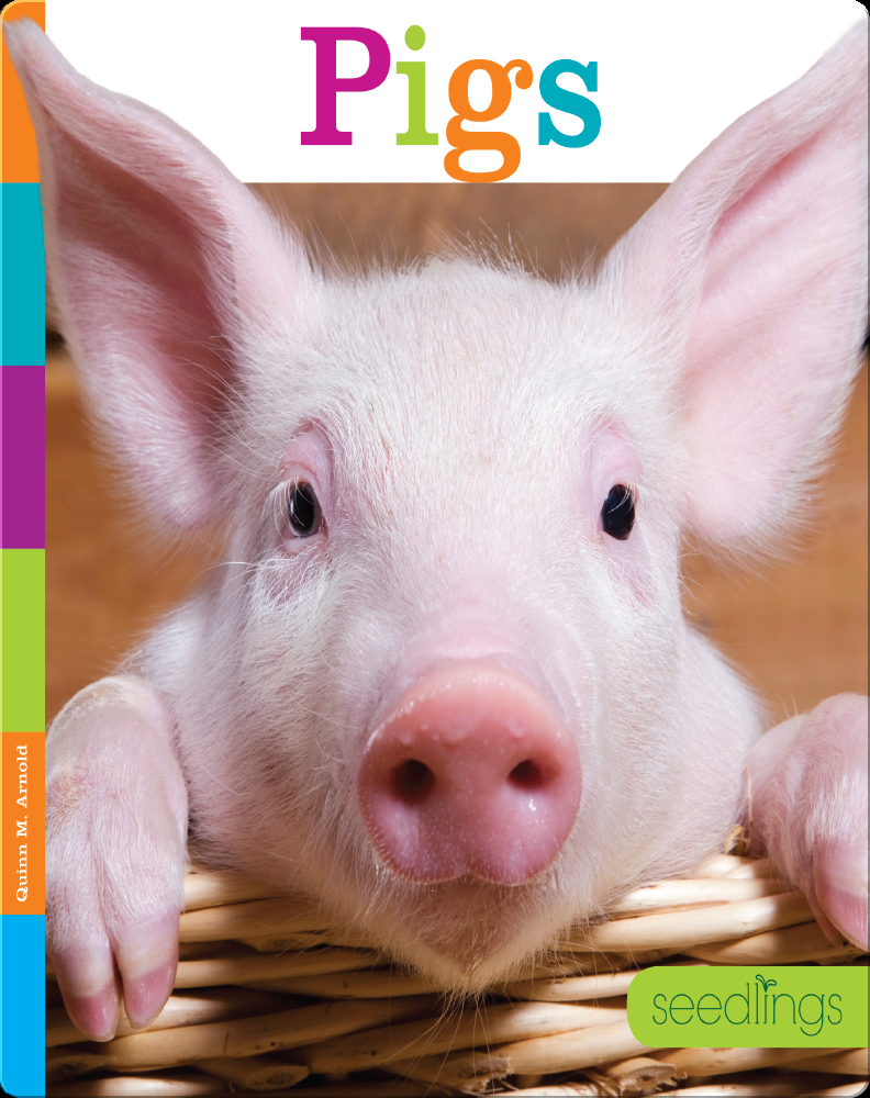 Pigs Book by Quinn A. Arnold | Epic