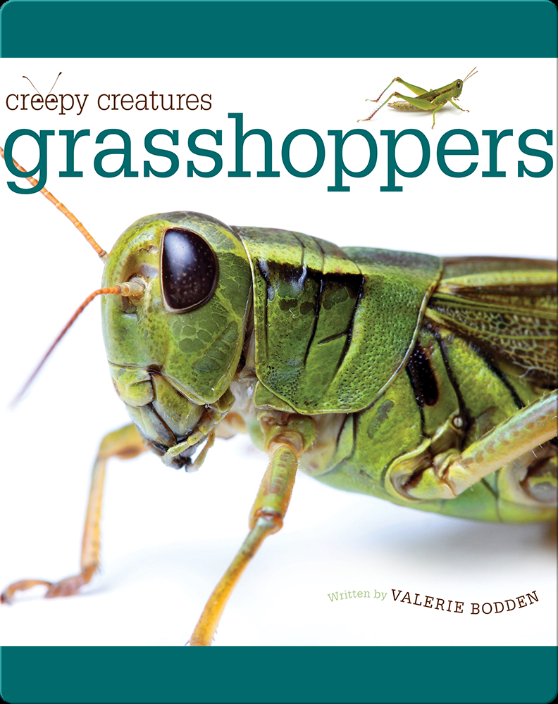Grasshoppers Children's Book by Valerie Bodden | Discover Children's ...