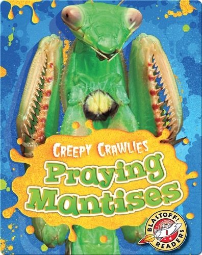 Praying mantis Children's Book Collection | Discover Epic Children's ...