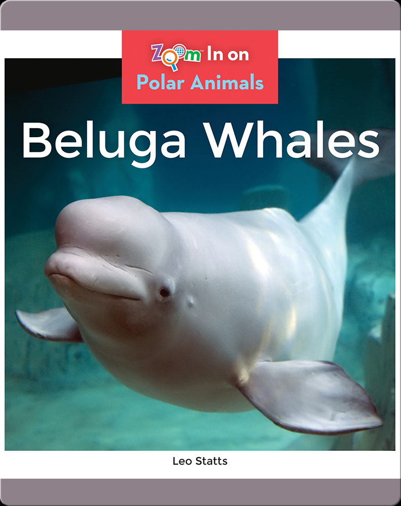 Beluga Whales Book by Leo Statts | Epic