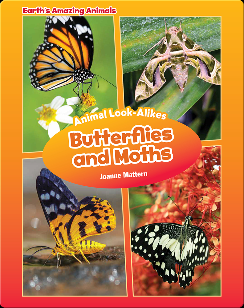 Butterflies and Moths Book by Joanne Mattern | Epic