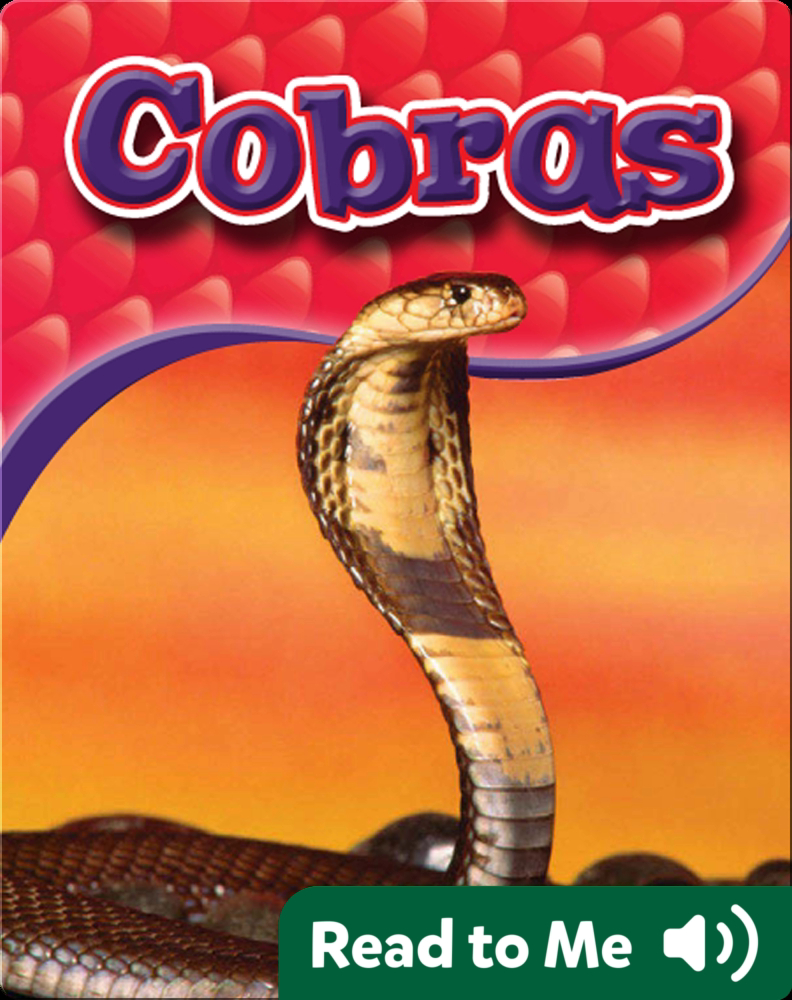 Cobras: Snakes Alive Book by Colleen Sexton | Epic