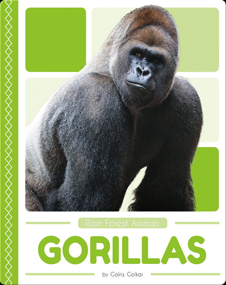 Rain Forest Animals: Gorillas Book by Golriz Golkar | Epic