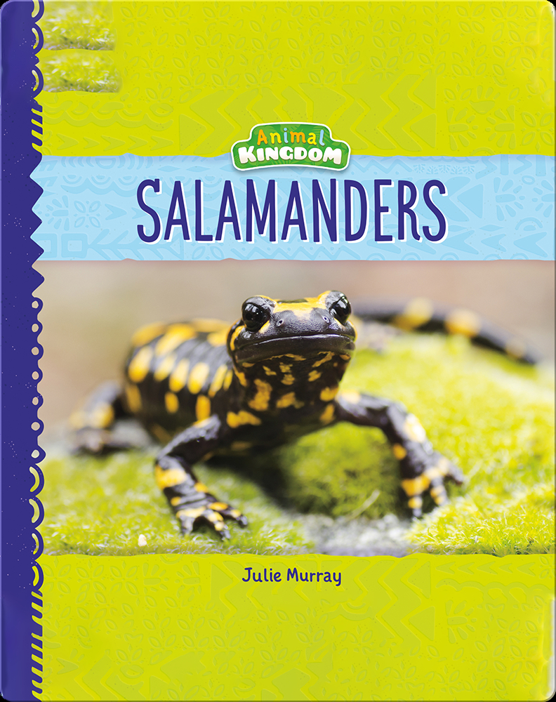 Animal Kingdom: Salamanders Book by Julie Murray | Epic
