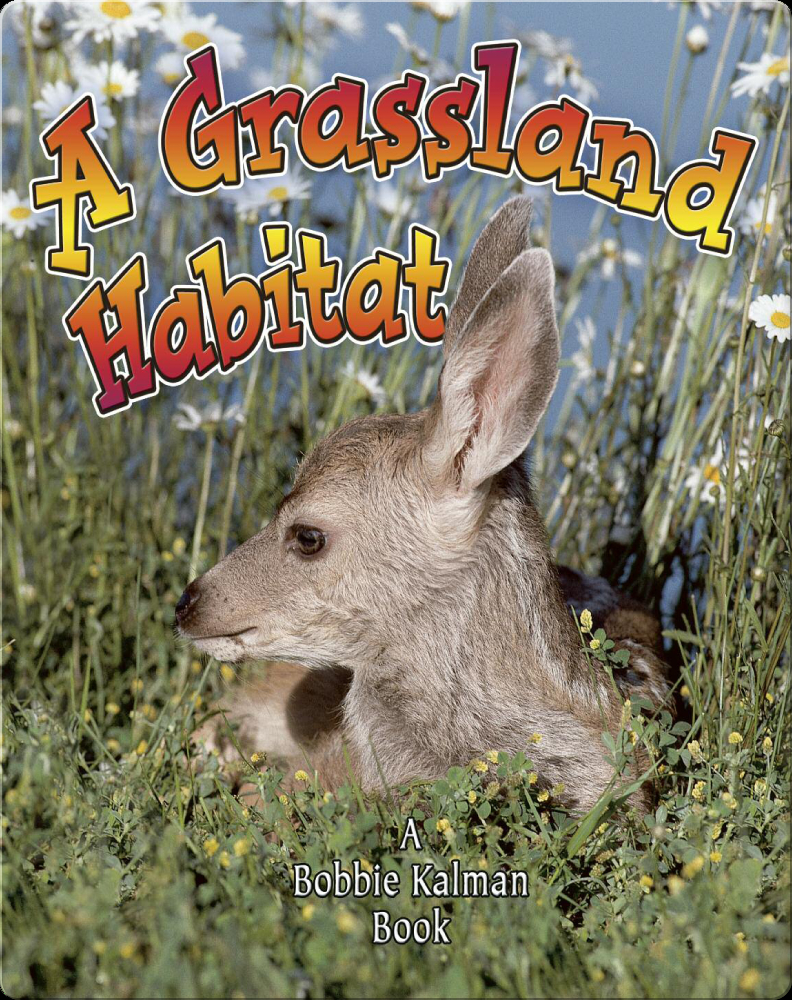 A Grassland Habitat Children's Book by Bobbie Kalman, Kelley Macaulay ...