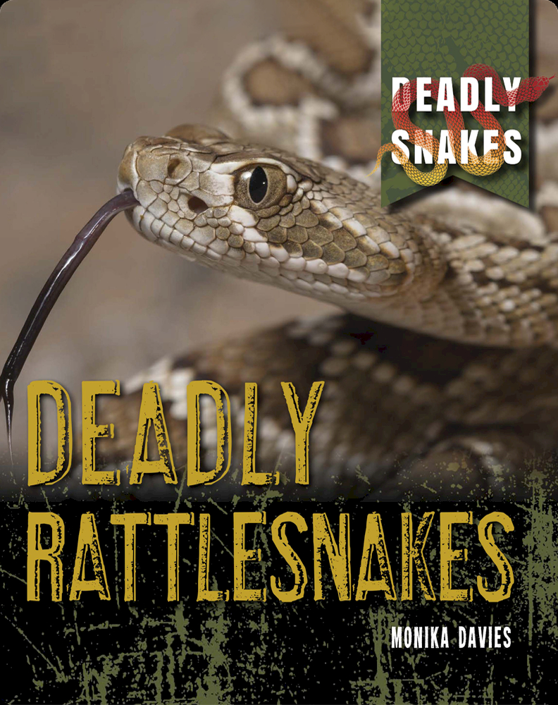 Deadly Snakes: Deadly Rattlesnakes Book by Monika Davies | Epic