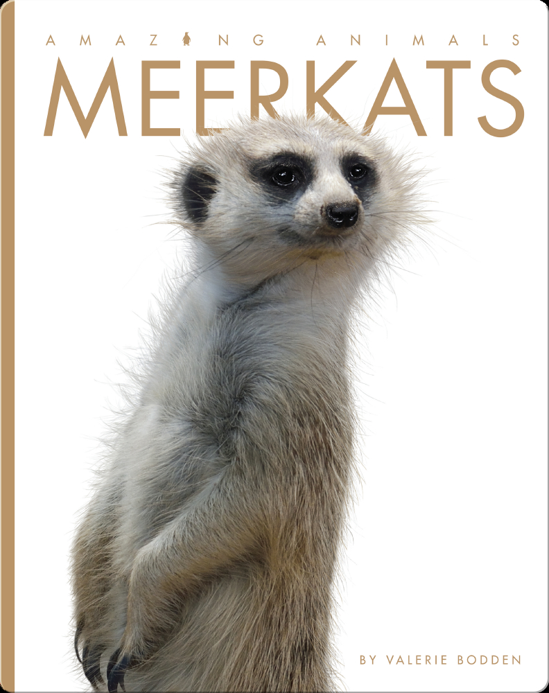 Meerkats Book by Valerie Bodden | Epic