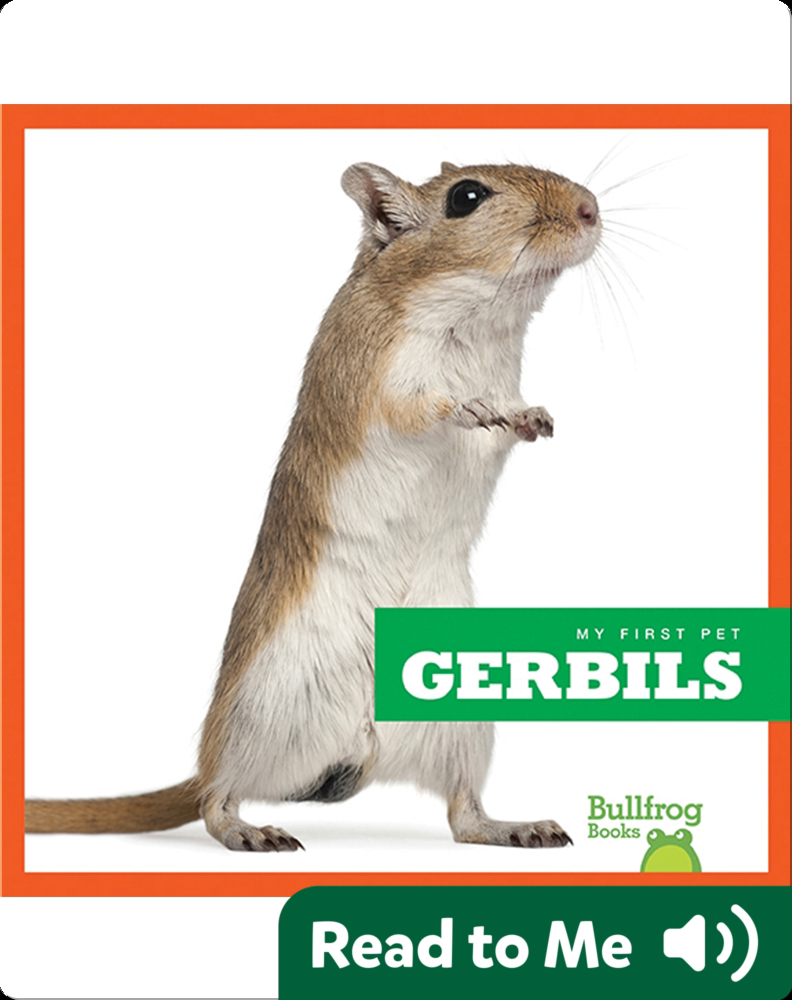My First Pet: Gerbils Book by Vanessa Black | Epic