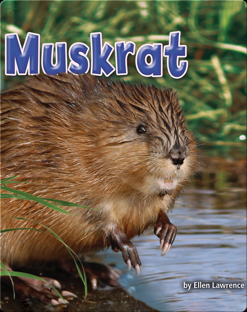 Muskrat Book by Ellen Lawrence | Epic