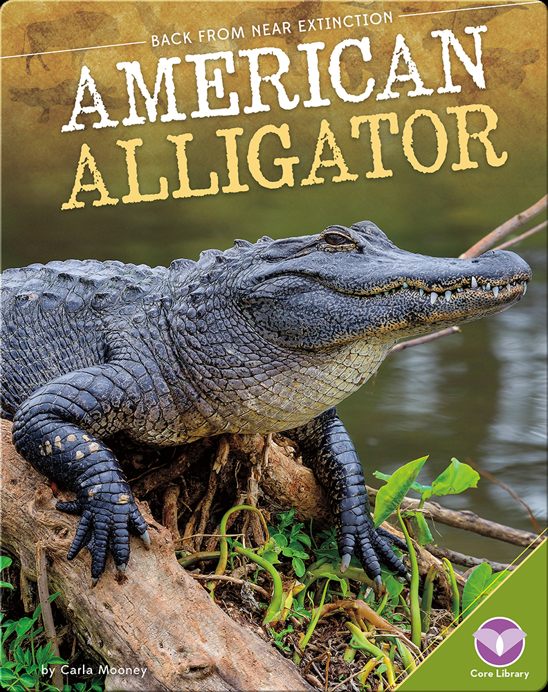 American Alligator Book by Carla Mooney | Epic