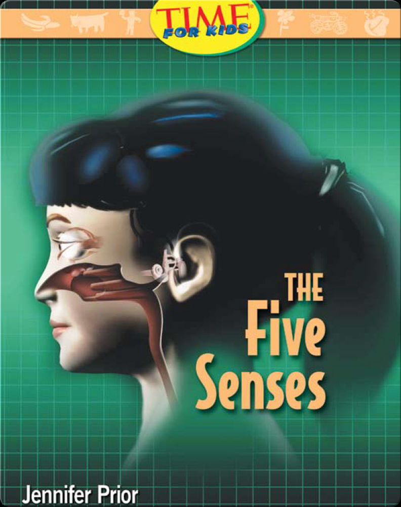 The Five Senses Book by Jennifer Prior | Epic