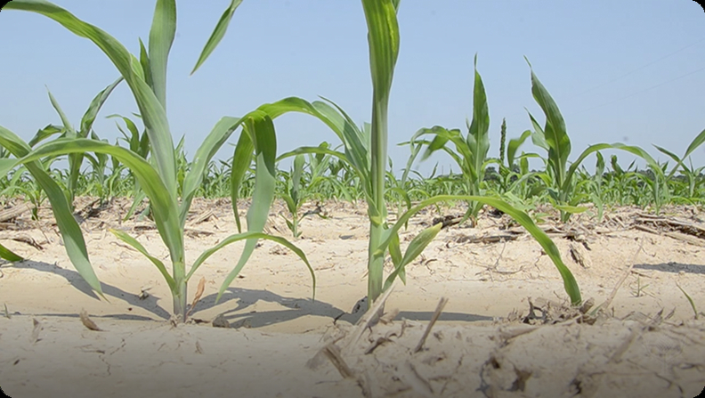 Drought Video | Discover Fun and Educational Videos That Kids Love ...