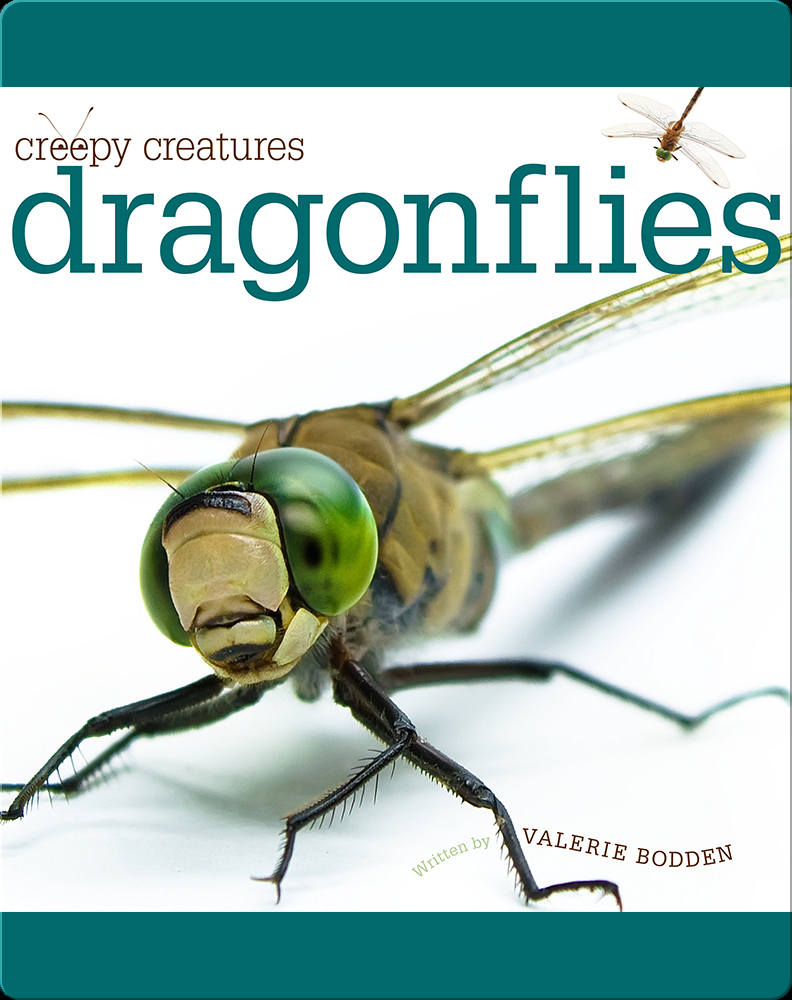Dragonflies Book by Valerie Bodden | Epic