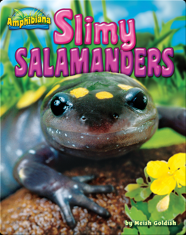 Slimy Salamanders Book by Meish Goldish | Epic