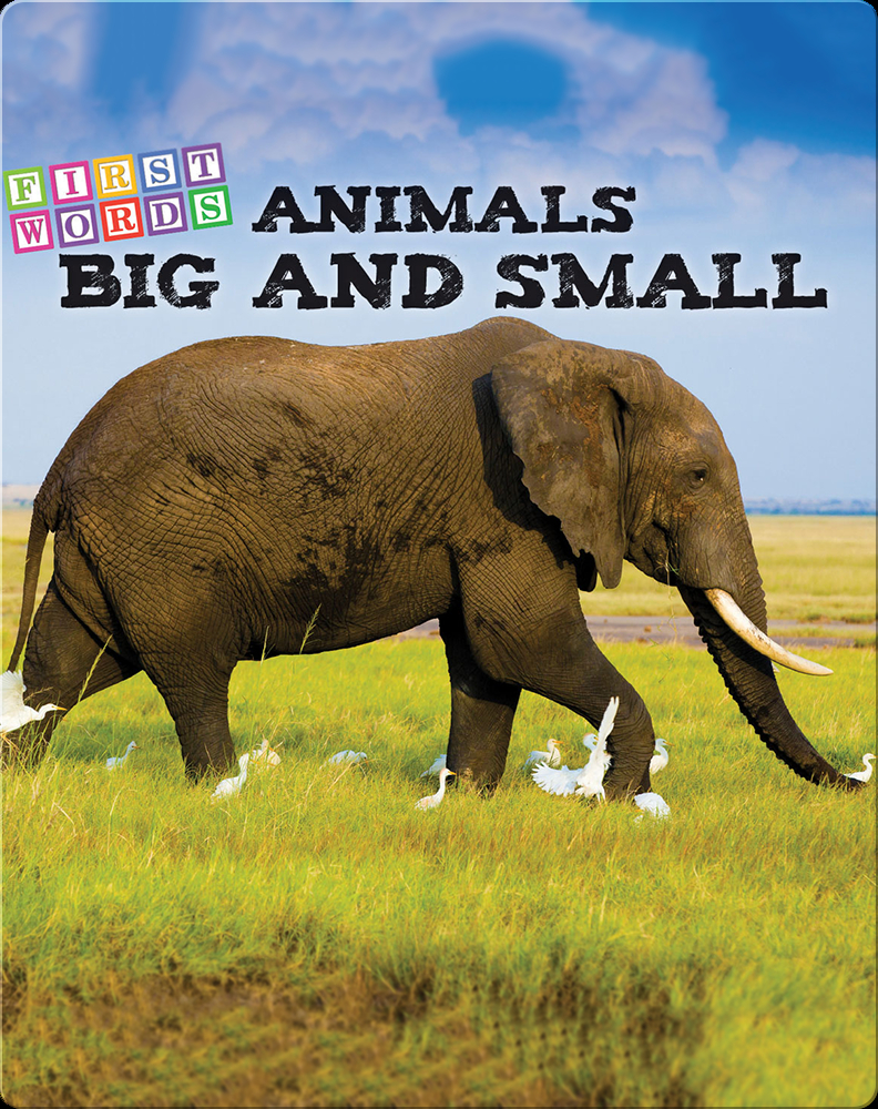 Animals Big and Little Book by Rhea Wallace | Epic