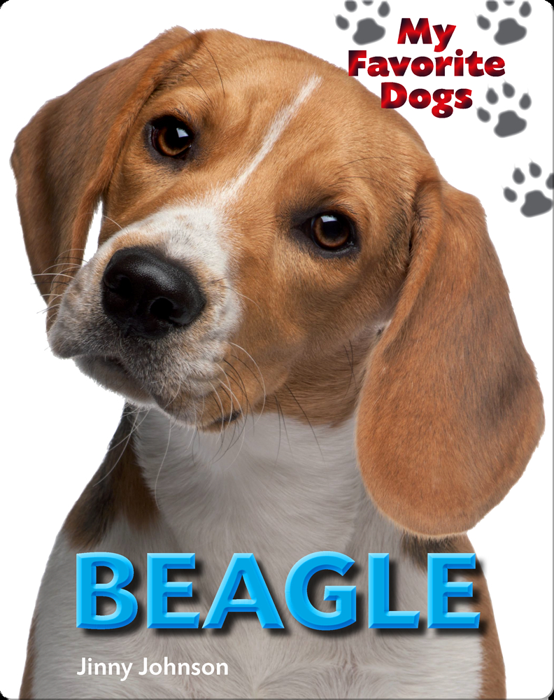 Beagle Book by Jinny Johnson | Epic