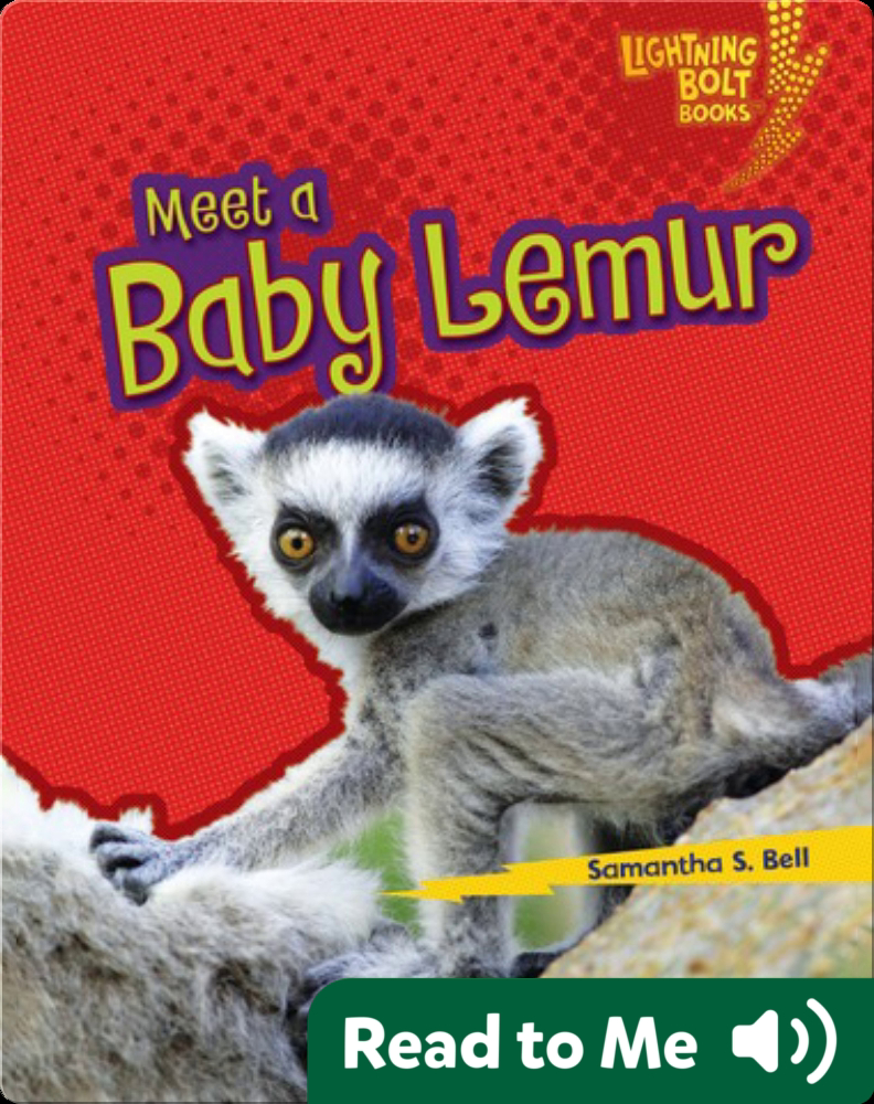Meet a Baby Lemur Book by Samantha S. Bell | Epic