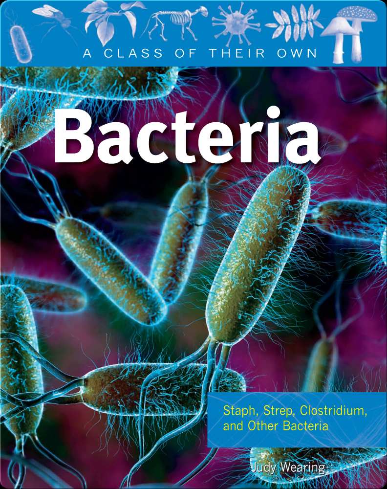 Bacteria: Staph, Strep, Clostridium, and other Bacteria Children's Book ...