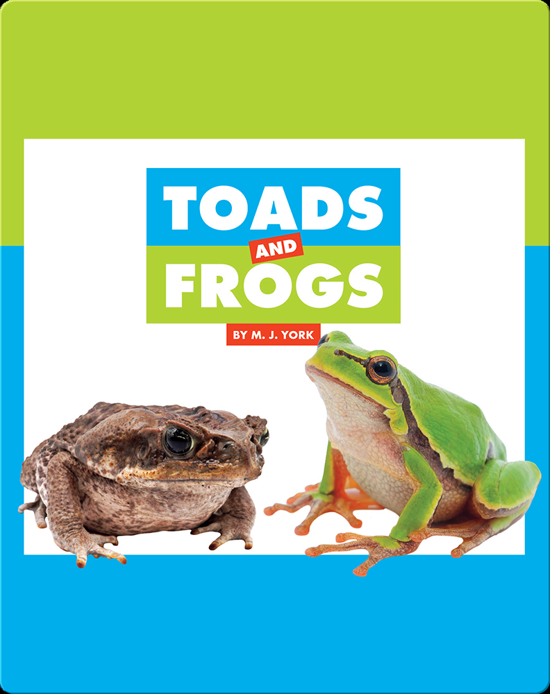 Comparing Animal Differences: Toads and Frogs Book by M. J. York | Epic