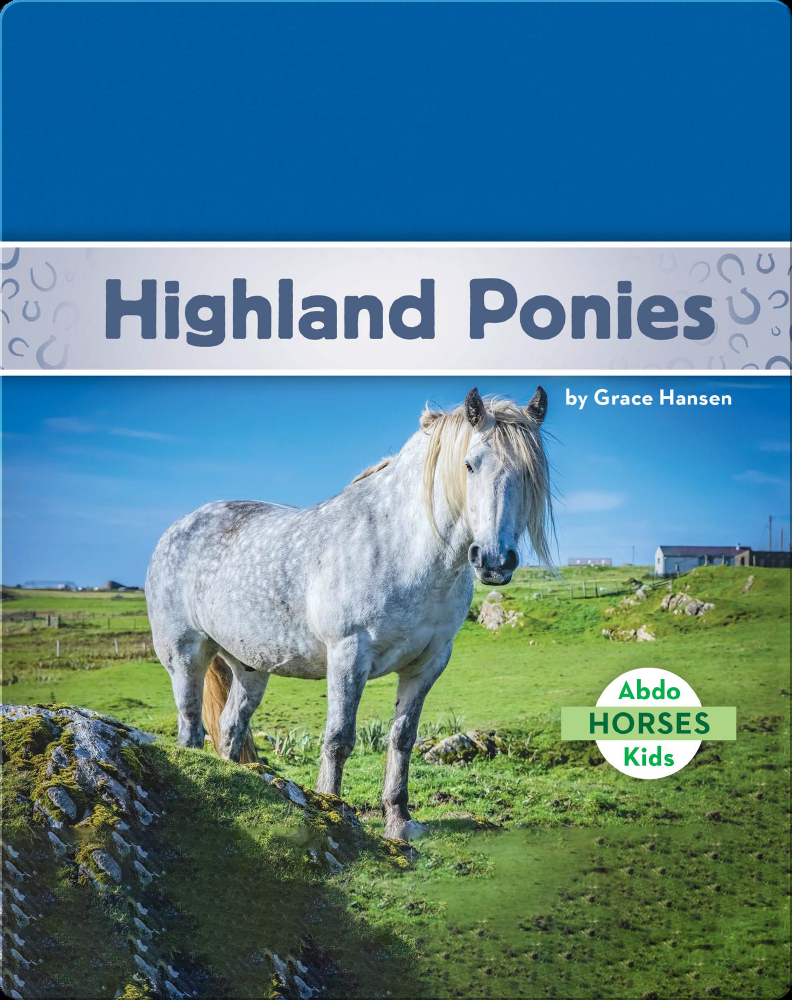 Highland Ponies Book by Grace Hansen | Epic