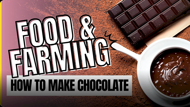 Food and Farming: How to Make Chocolate Video | Discover Fun and ...