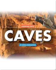 Landforms: Caves Book by Sonja Olson | Epic