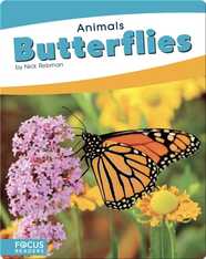 National Geographic Readers: Caterpillar to Butterfly Book by Laura ...