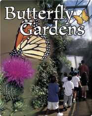 National Geographic Readers: Caterpillar to Butterfly Book by Laura ...