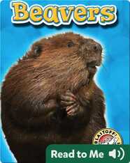 The Busy Beaver Book by Nicholas Oldland | Epic
