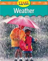 The Weather Report Book by Pam Holden | Epic