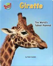 Giraffes: Animal Safari Book by Kari Schuetz | Epic
