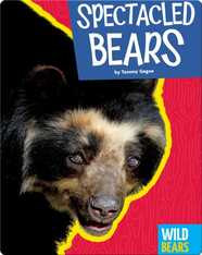 Wild Bears Book by Seymour Simon | Epic