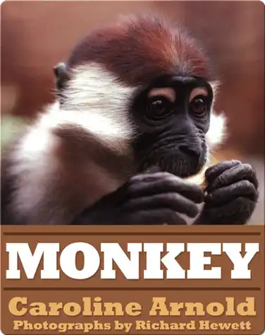 Monkey/Gorilla Children's Book Collection | Discover Epic Children's ...