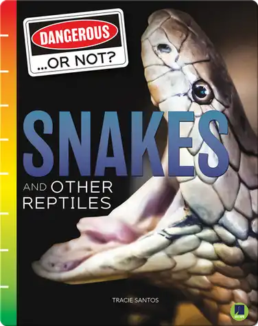 Snakes Children's Book Collection | Discover Epic Children's Books ...