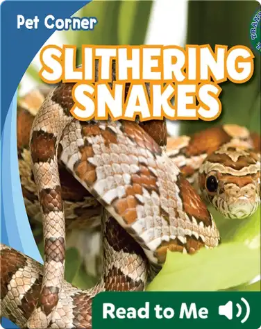 Snakes Children's Book Collection | Discover Epic Children's Books ...