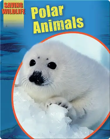 Polar Animals Children's Book Collection | Discover Epic Children's ...