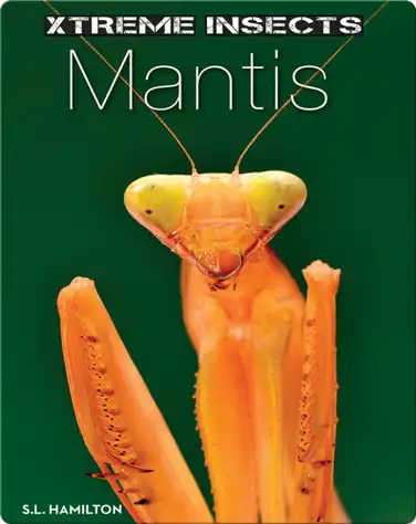 Praying mantis Children's Book Collection | Discover Epic Children's ...